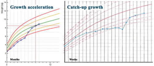 עקומות גדילה - היבטים ושיקולים בשימוש בהן - ארגון רופאים לתזונה